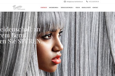 Picasso Hair-Fashion - Swiss Consulting Group