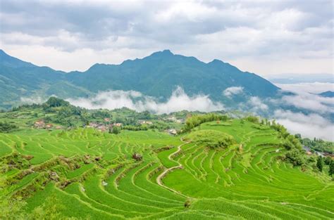 浙江丽水旅游必去十大景点丽水10个周边游好去处你去过几个 澎湃号湃客 澎湃新闻 The Paper