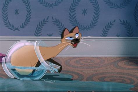 Si And Am Siamese Cats Image 19323619 Fanpop