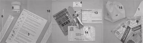 The Content Of The Chlamydia Self Collection Kit Download Scientific