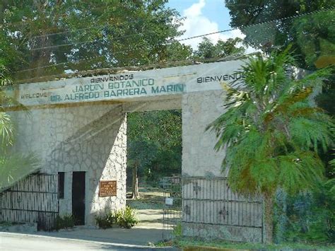 Jardin Botanico Dr Alfredo Barrera Marin Puerto Morelos 2018 All