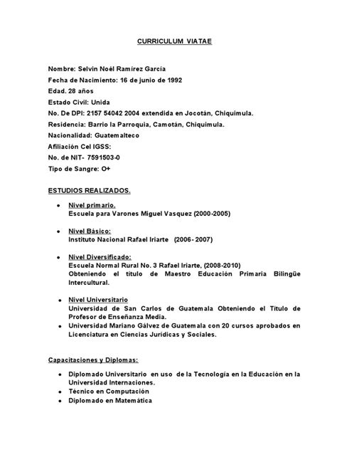 Curriculum Vitae Selvin Pdf