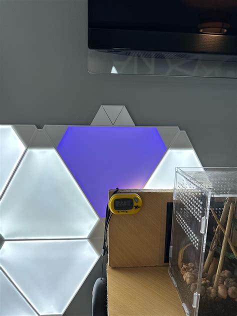 Light Panels Colour Issue Does Anyone Know Whats Going On They Are