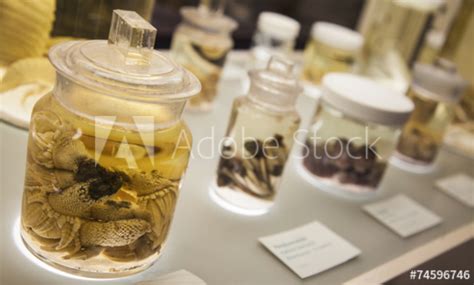 A Day In The Life Of A Patch Tester Glove Protection Formaldehyde