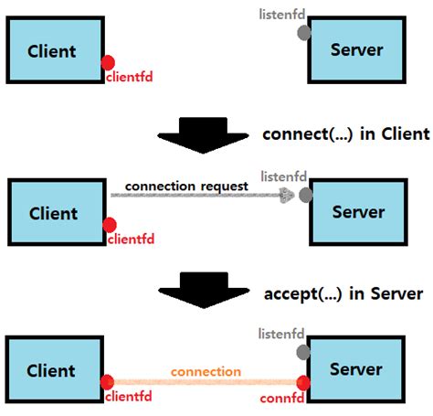 SP Socket Interface Echo Server