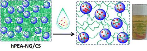 超支化聚醚醚（hpea）纳米凝胶 壳聚糖（cs）的超分子网络用于客体分子的选择性吸附和分离 Macromolecules X Mol