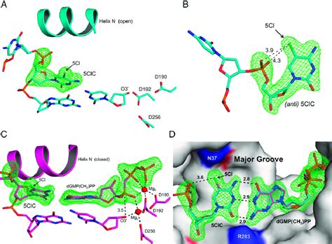 Structure Of Pol β Binary And Nonmutagenic Ternary Complex With