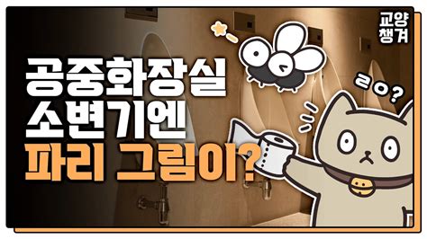 왜 공중화장실 소변기에는 파리 그림이 그려져 있을까 남자화장실 소변기 파리 그림의 비밀 Youtube