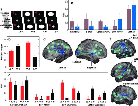 Brain Networks That Govern Distortions In Time And Intersensory Timing Download Scientific