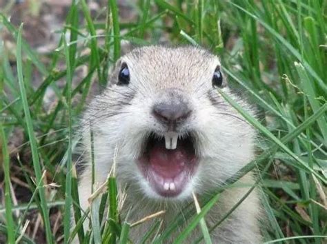 The Folder Structure Of Macos Everything You Need To Know By Ali