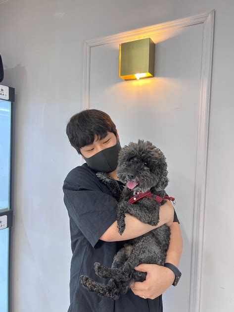 청주 2022 0049 푸들 코코 책임분양 말티즈분양가격 말티푸분양가격 비숑프리제분양가격 미니비숑프리제분양가격 포메라니안분양가격 푸들분양가격 토이푸들분양가격 골든리트리버