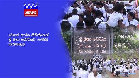 වෙසක් පෝය නිමිත්තෙන් ශ්‍රී මහා බෝධියට පැමිණි බැතිමතුන් Youtube