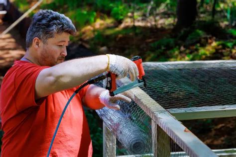 How To Build A Chicken Coop A Step By Step Guide