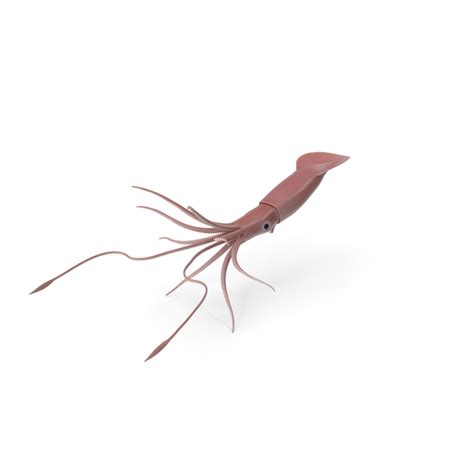 Squid Game Sex Scene Porn Png Images And Psds For Download Pixelsquid