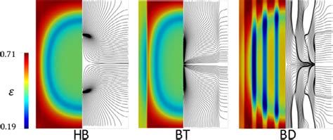 Porosity Distribution Left Half And Streamlines Right Half Inside