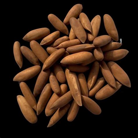 Type With Shelll Chilgoza Pine Nuts At ₹ 4900kg In Bhubaneswar Id