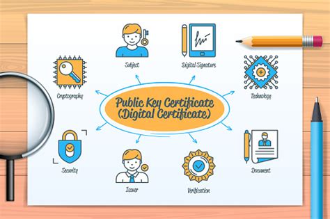 Ilustración De Certificado De Clave Pública Gráfico De Certificado Digital Con Iconos Y Palabras