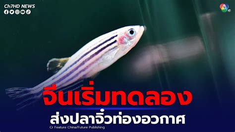 ข่าวจีนเริ่มทดลองส่งปลาจิ๋ว ขึ้นสู่วงโคจรบนสถานีอวกาศ เทียนกง