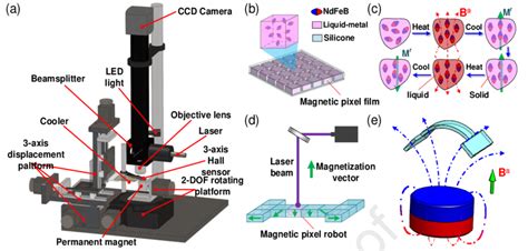 Principle Of Shape Programmable Magnetic Pixel Robot A 3D Magnetic