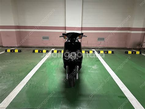 야마하 시그너스 스쿠터 125cc 125cc 이하 중고나라