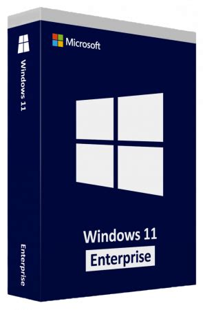 Windows 11 Enterprise 23H2 Build 22631 3007 No TPM Required