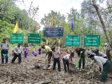 ကော့သောင်းမြို့နယ်တွင် အပြည်ပြည်ဆိုင်ရာ ဒီရေတောဂေဟစနစ် ထိန်းသိမ်းရေးနေ့