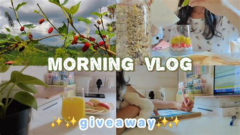 🌞 Morning Vlog පාඩම් වැඩත් එක්ක ගතවෙන ලස්සන උදෑසනක් 🌿 Productivity