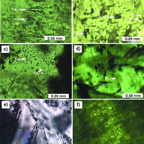 Distribution Of Homogenization Temperatures Obtained From Primary Fluid