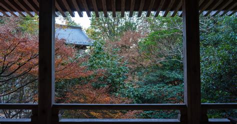 「儒学の日本化を目指せ」日本を深く理解するために必読の「あの名著」はいかにして生まれたのか（松岡 正剛） 現代新書 講談社