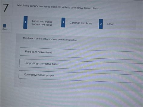 Solved Match The Connective Tissue Example With Its Chegg