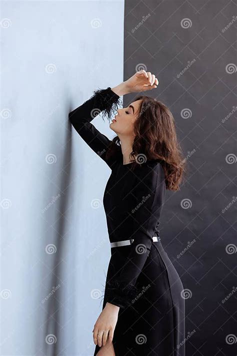 Attractive Woman With Long Brunette Hair Stock Image Image Of