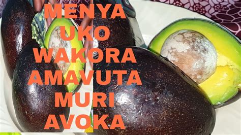 DORE UKO WAKORA AMAVUTA YA AVOKA KU BURYO BWOROSHYE YouTube