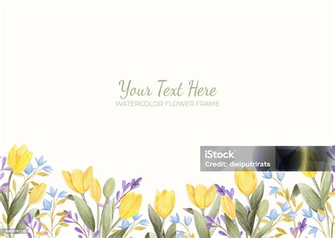 노란색 튤립 꽃 수채화를 배경 프레임으로 그린 설명서 0명에 대한 스톡 벡터 아트 및 기타 이미지 0명 개화기 꽃 나무