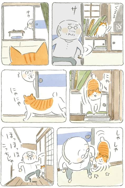 飼い猫から遊びのお誘いが？じいちゃんもノリノリで鬼ごっこ／ねことじいちゃん4（2）（画像610） レタスクラブ