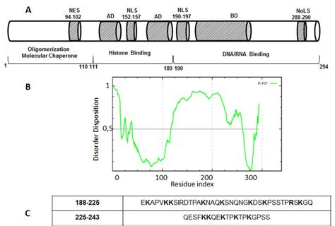 Nucleophosmin 1 Npm1 A Schematic Representation Of Its Structure