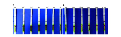 Optimization Of The Temperature A And Time B For The Lf Rpa A