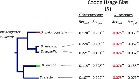 correlation between codon usage bias cub and crossover rates in d
