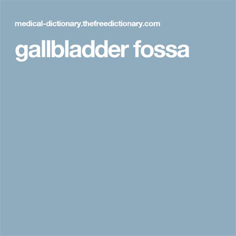 Gallbladder Fossa