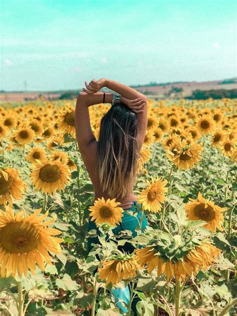 Pin By Sierra Bowser On Sunflower Field Photography Sunflower Field