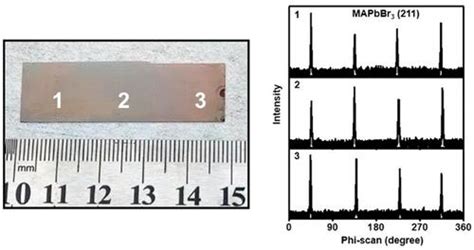 Acs Applied Materials Interfaces X Mol