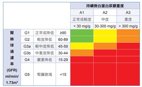 李治中腎臟科醫師 Chih Chung Lee Md 會不會其實你沒有腎臟病？淺談年紀的影響