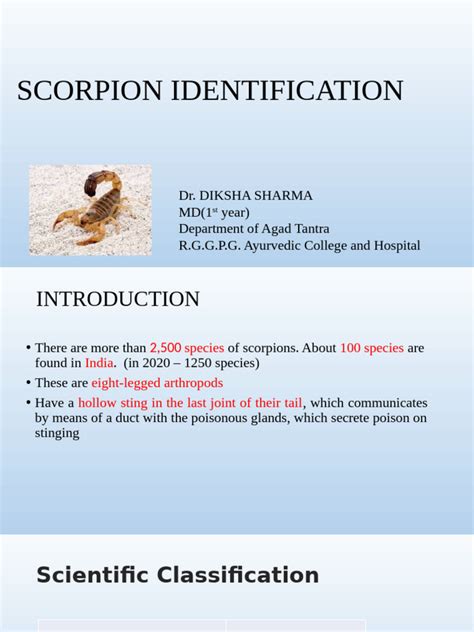 Scorpion Identification Pdf Predation