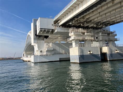 超リアル 夢舞大橋 フィッシングマックス 関西の釣果大阪･神戸･和歌山の釣果情報