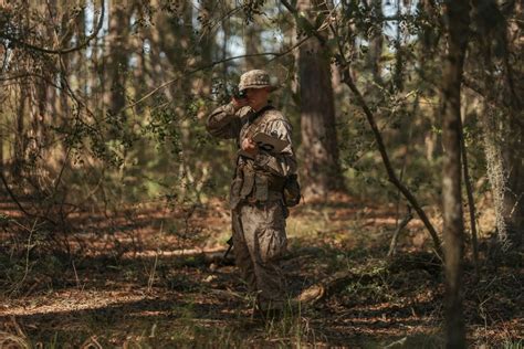 DVIDS Images Charlie Company Land Navigation Image 21 Of 32