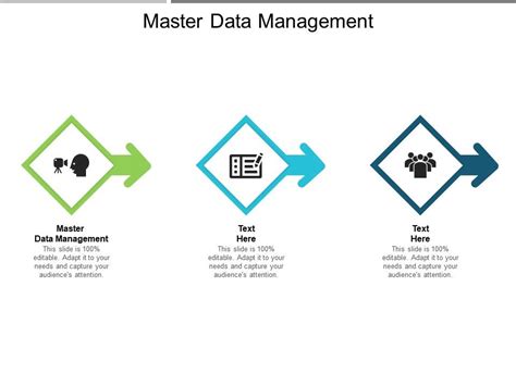 Master Data Management Ppt Powerpoint Presentation File Slide Download