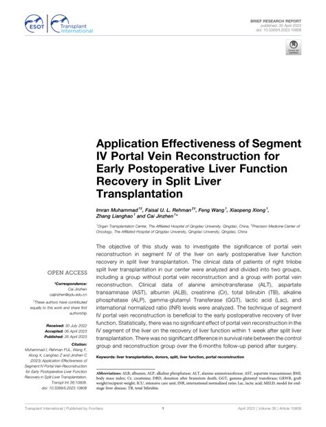 Pdf Application Effectiveness Of Segment Iv Portal Vein