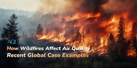How Wildfires Affect Air Quality Recent Global Case Examples Aqi