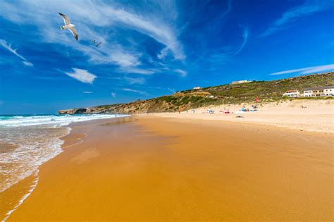 포르투갈의 서쪽 해안선에 있는 몬테 클레 리고 해변의 전망 알가 르 베 알 제주 르 코스타 비 센 티 나 포르투갈 유럽 근처 해변 프라이아 몬테 클레 리고 계단 0명에 대한