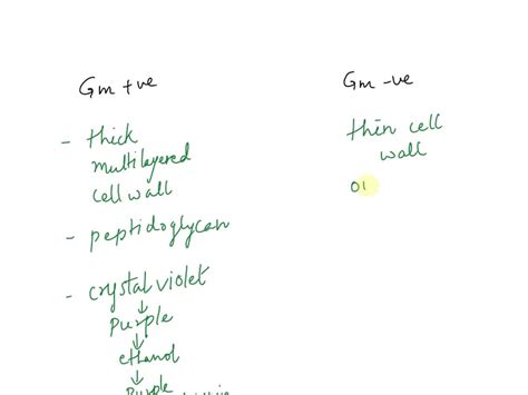 SOLVED Differentiate Between Gram Positive And Gram Negative Bacteria