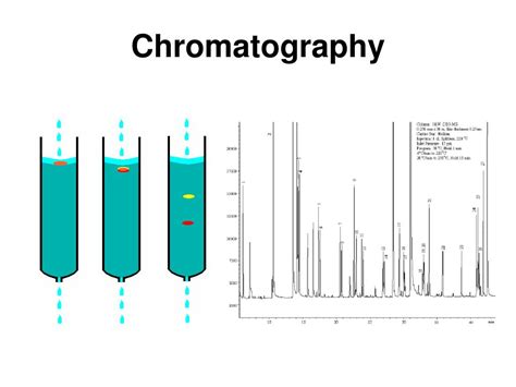 Ppt Module 1 Introduction To Metabolomics Aamir Javed Powerpoint
